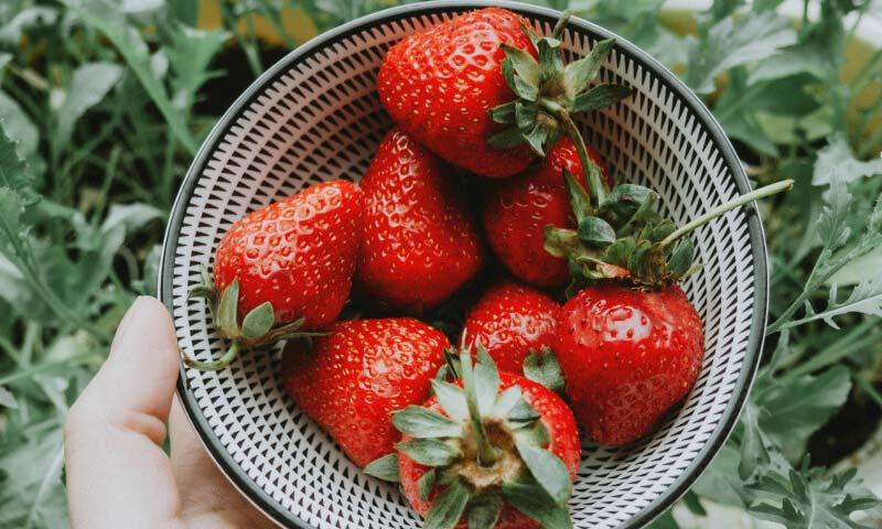 Lesson 3. Nutrition according to your body type – Thekla Witte-Uhl